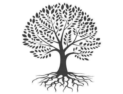 Sierra Property Partners | Placer County Property Management